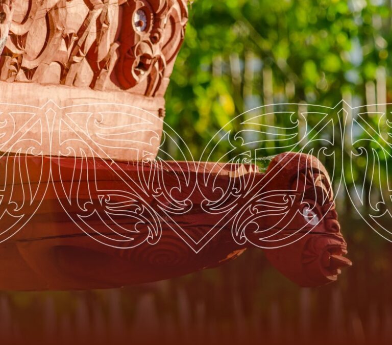 Te Tiratū IMPB hauora Māori priorities summary report - Te Tiratū IMPB